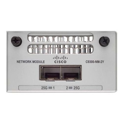 Сетевой модуль Cisco C9300-NM-2Y - купить с самовывозом в СберМаркет