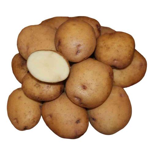 Клубни Картофель семенной Синеглазка Русский Огород 2 кг купить для ...